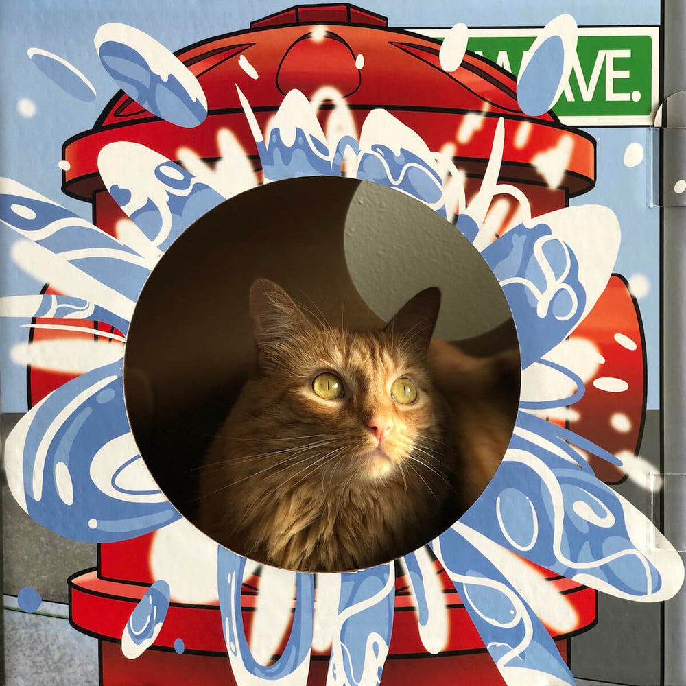 Designer Cardboard Boxes/Playhouses for Cats