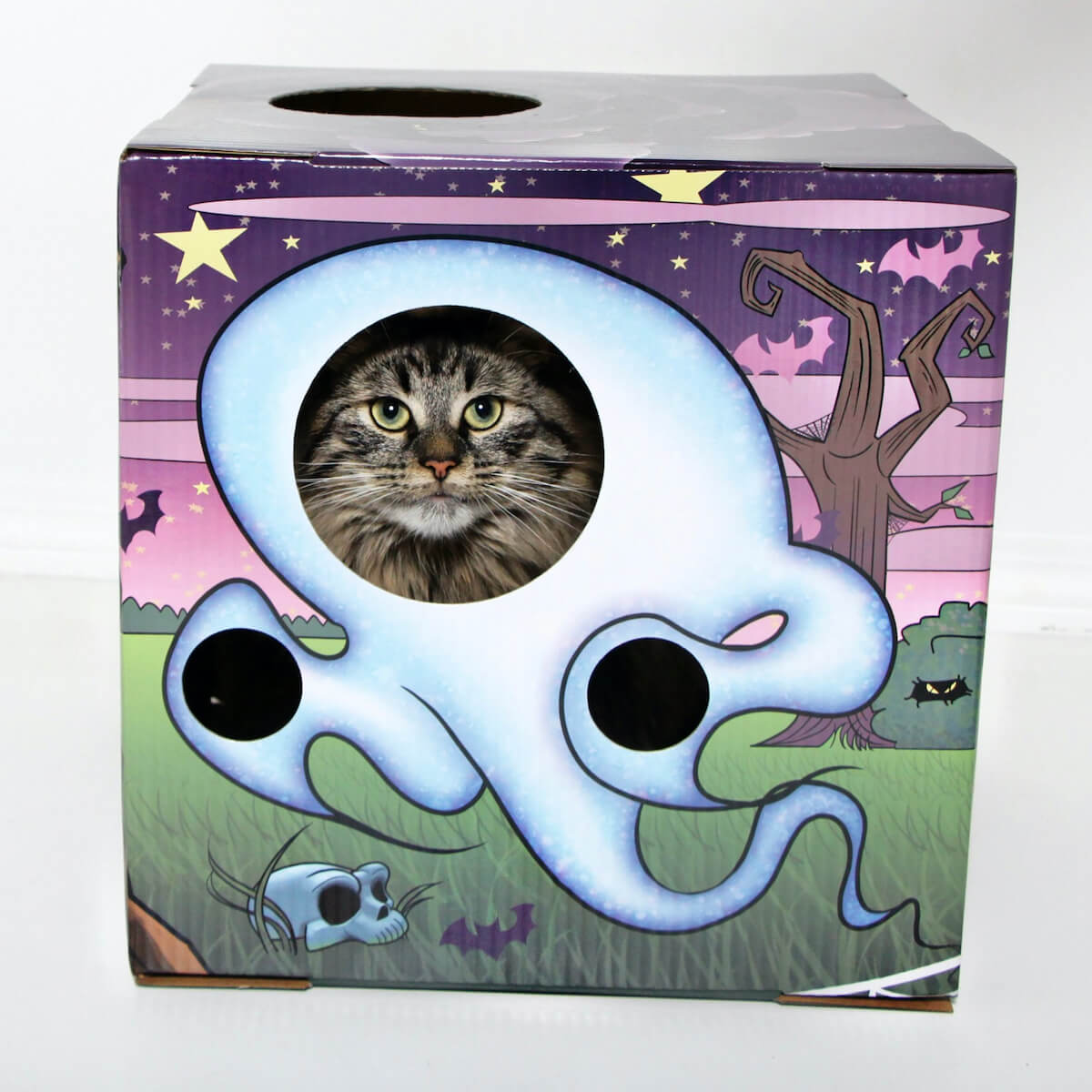 Designer Cardboard Boxes/Playhouses for Cats