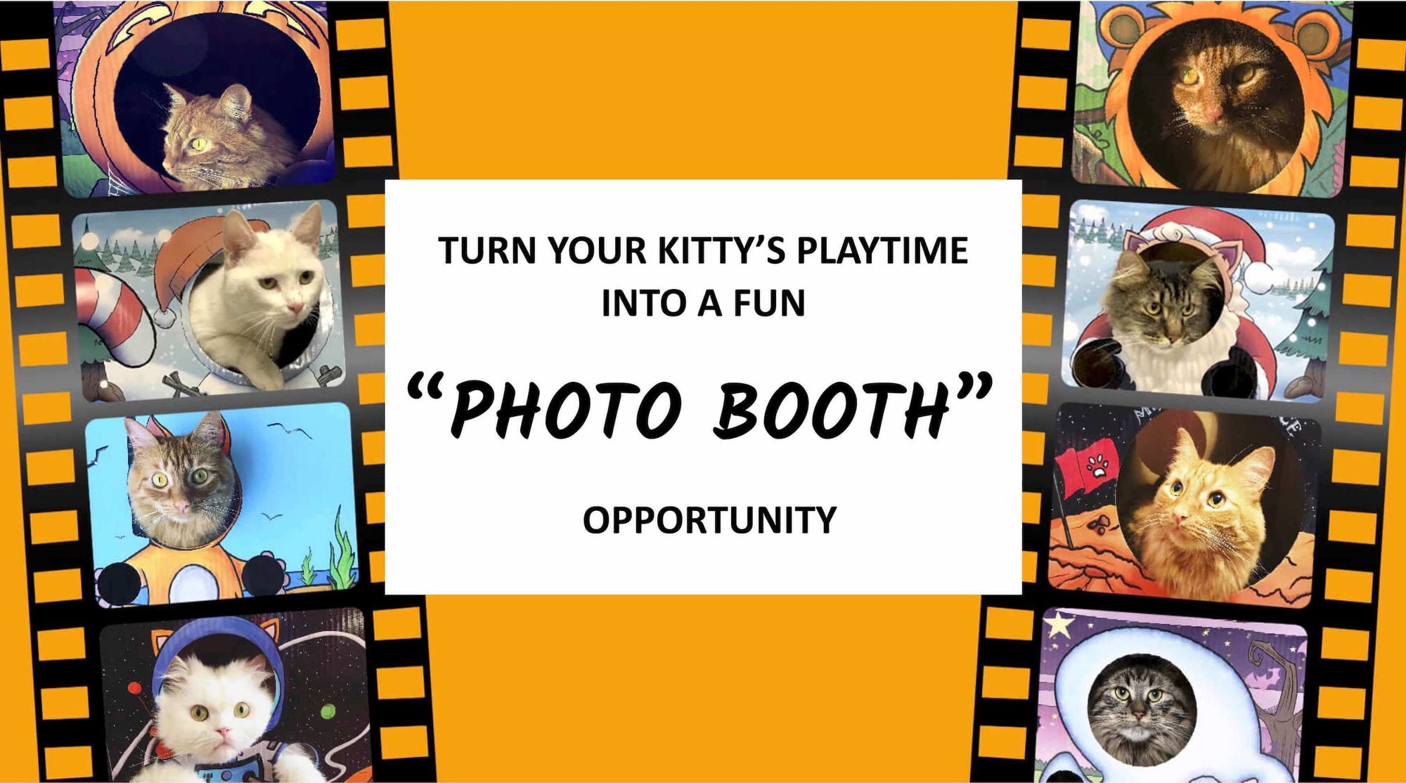 Designer Cardboard Boxes/Playhouses for Cats – KITTY CARDBOARD